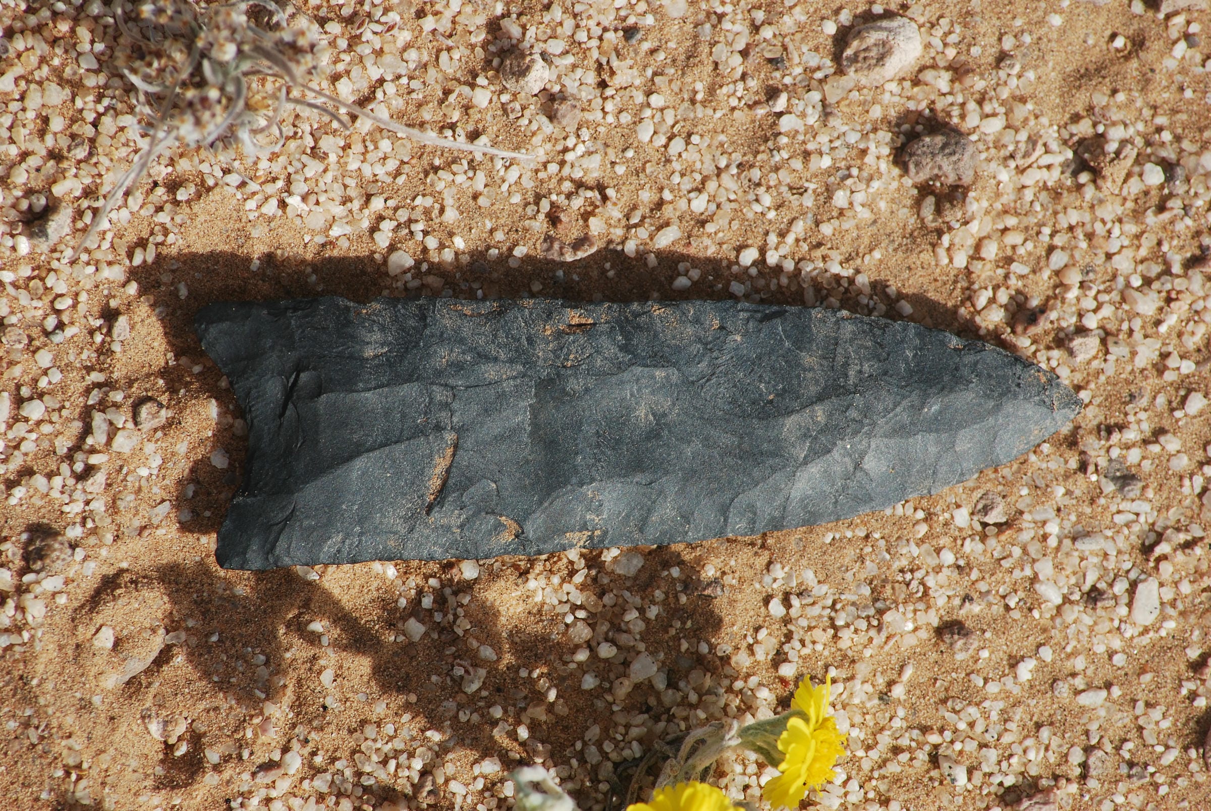 Las Tortugas: A Clovis Site in the Gran Desierto – The research of ...