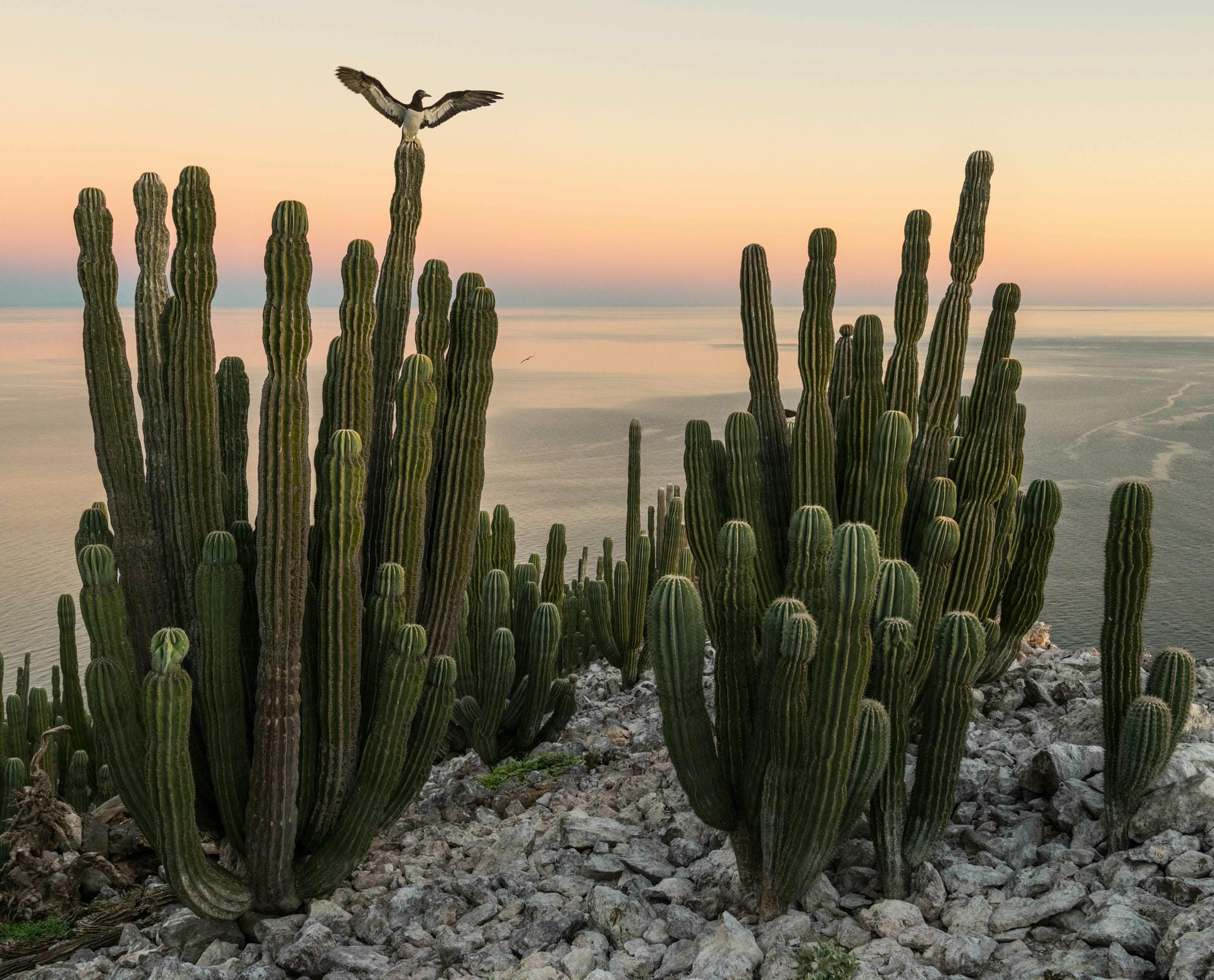 Land-Sea Linkages – The research of Benjamin T. Wilder